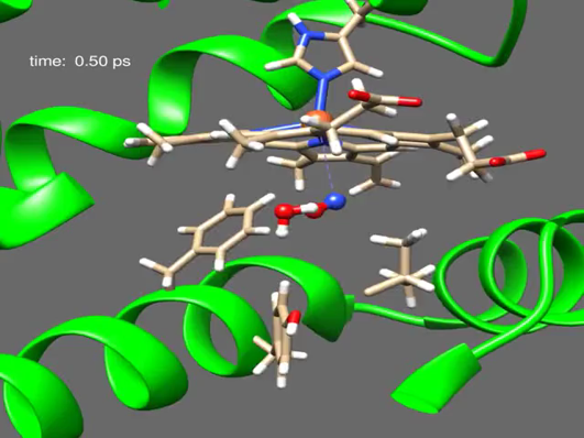 Dynamique fonctionnelle des protéines - Laboratoire d'optique et ...