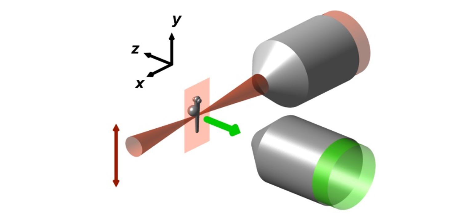 Two-photon light sheet microscopy (2P-SPIM) - Laboratoire d'optique et ...