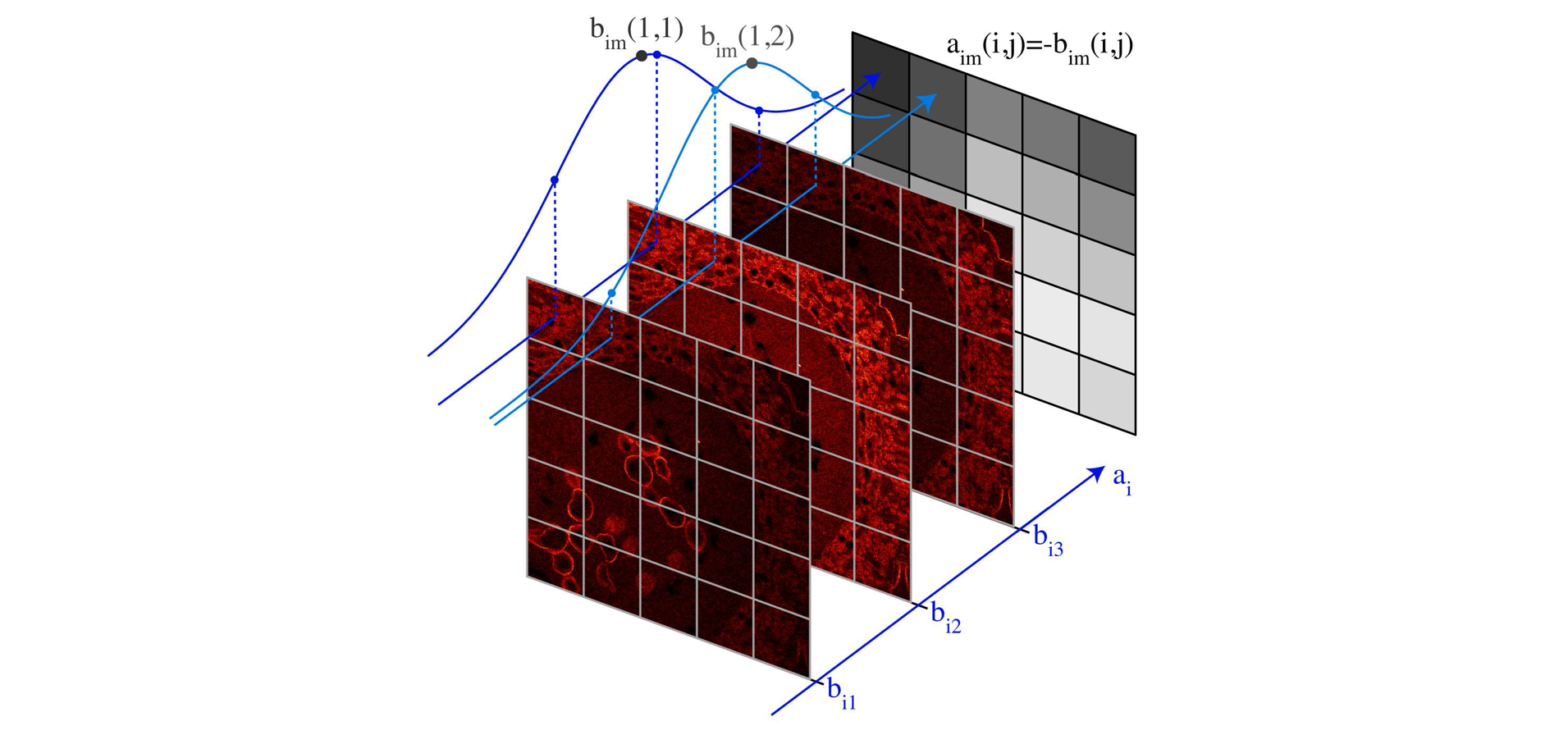 Adaptive optics & focus shaping - Laboratoire d'optique et biosciences